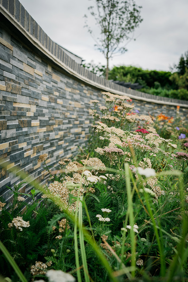 Award Winning Garden Designs from Llevelo Garden Design